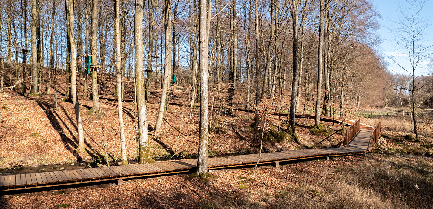 The Forest Tower at Camp Adventure | Sydsjælland & Møn
