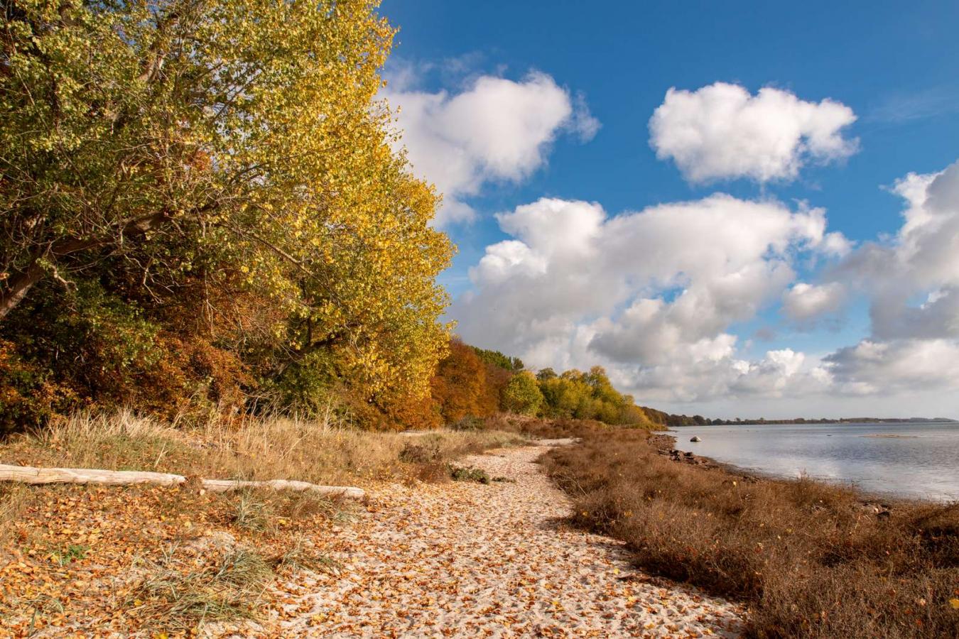 Beach trips in the autumn | Sydsjælland & Møn