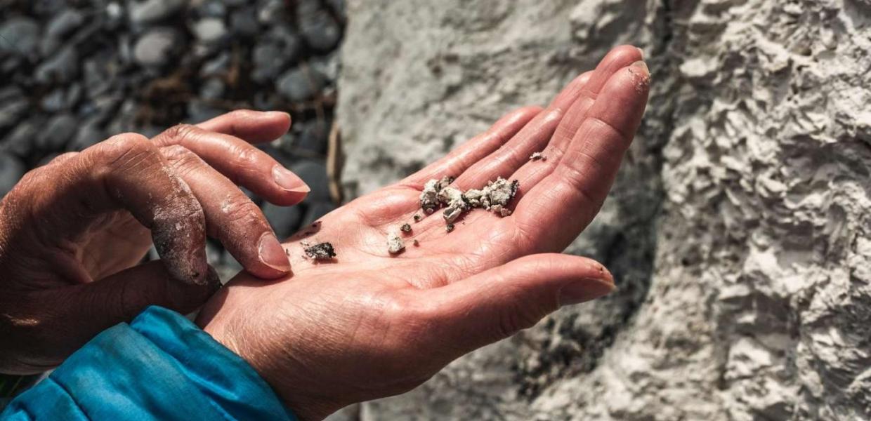 Go fossil hunting! | Sydsjælland & Møn