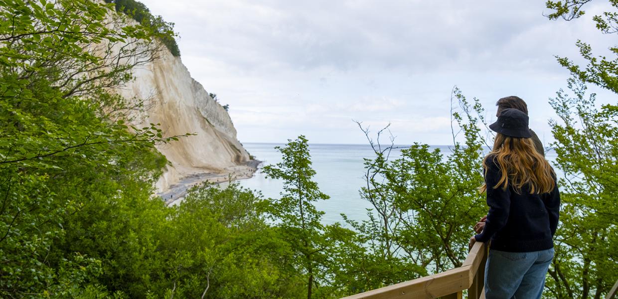 Møns Klint | Sydsjælland & Møn